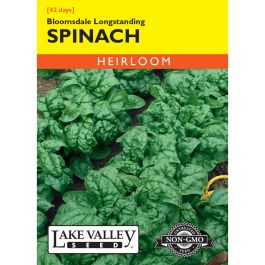 Spinacia, Spinach 'Bloomsdale Longstanding' Heirloom | Spikes & Houles Feed