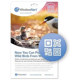 Window Alert Decal Modern Square Anti Collision Decal, 4pk | Spikes ...