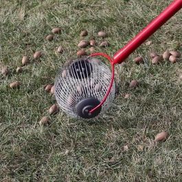 Garden Weasel Medium Nut Gatherer | Spikes & Houles Feed